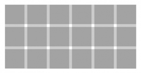 Grid anatomy and why you need to use it — N47